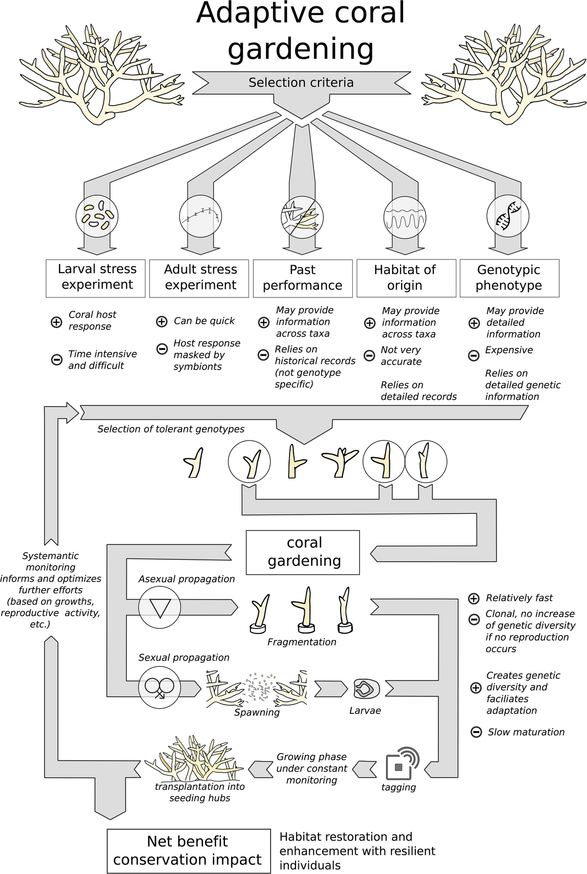 Frontiers | Beyond Reef Restoration: Next-Generation Techniques for ...