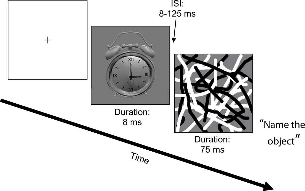 Frontiers | Early Visual Processing Is Associated With Social Cognitive ...
