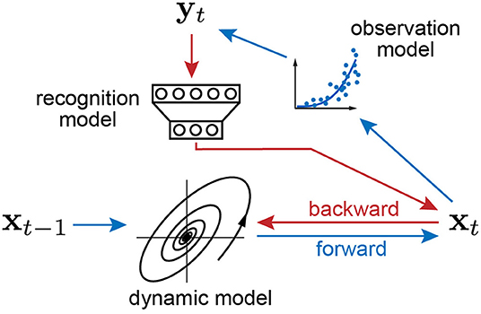 Frontiers | Variational Online Learning of Neural Dynamics