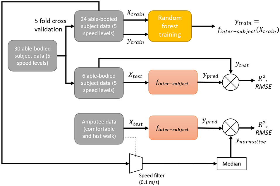 Frontiers | Feasibility of Training a Random Forest Model With ...