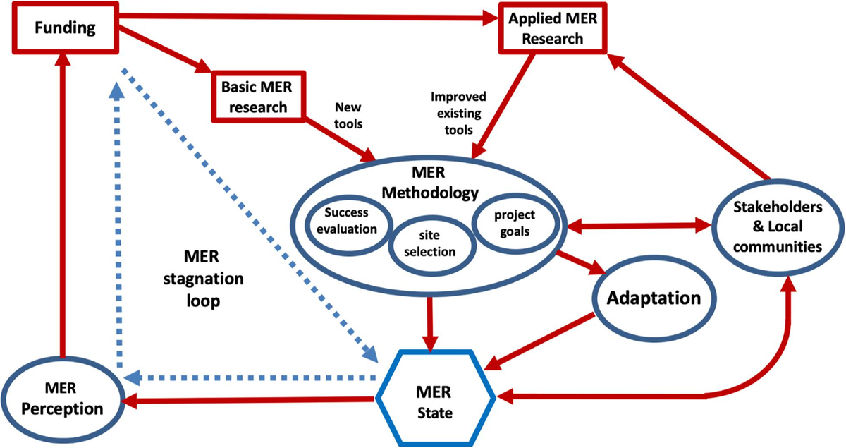 Frontiers | Challenges for Restoration of Coastal Marine Ecosystems in ...
