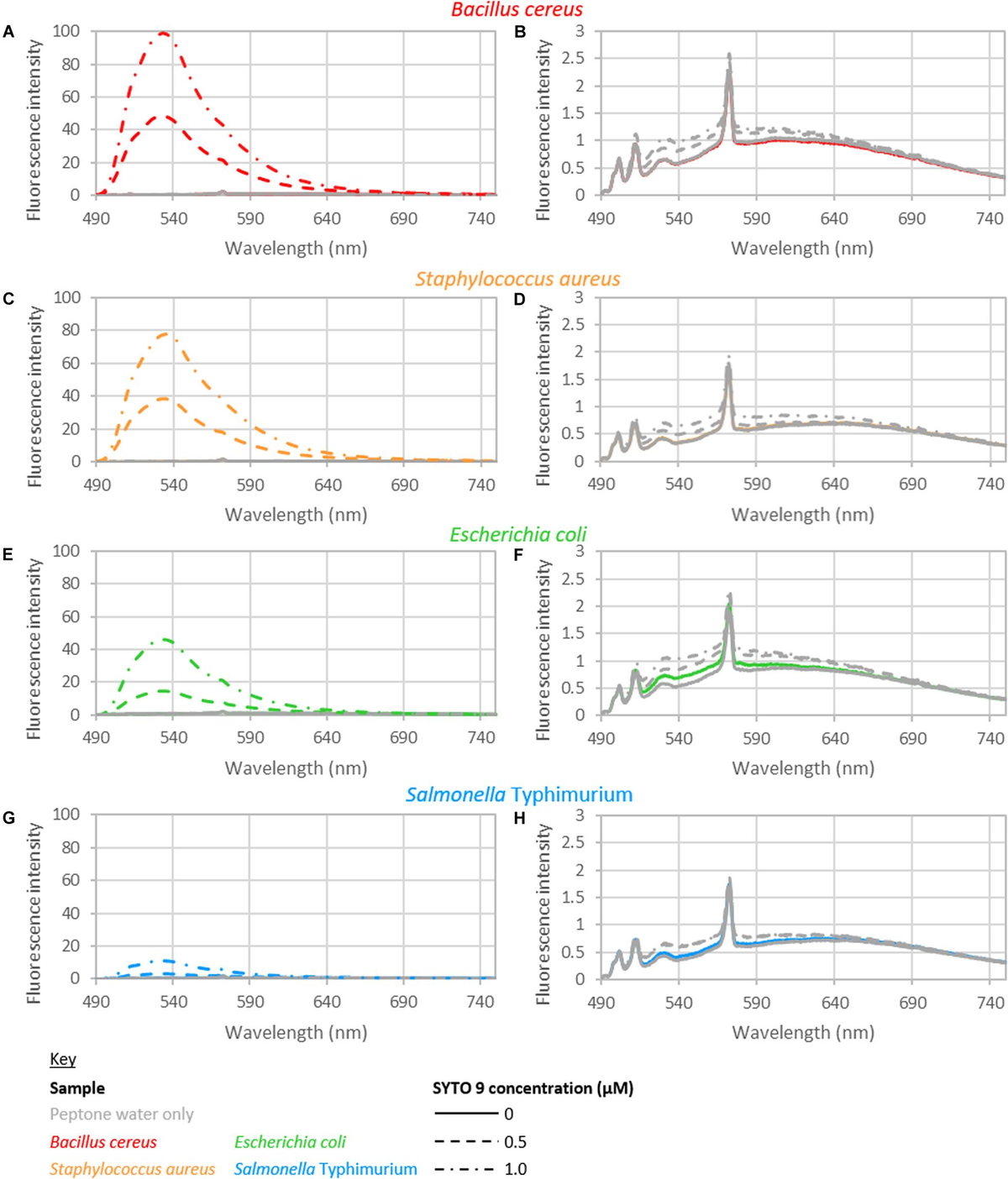 Frontiers | Species Dependence of SYTO 9 Staining of Bacteria