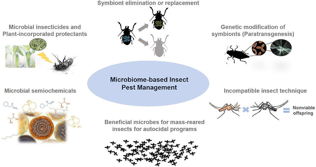 Frontiers | Microbiome Innovation in Agriculture: Development of ...