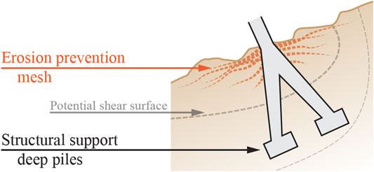 Frontiers | Root Systems Research for Bioinspired Resilient Design: A ...
