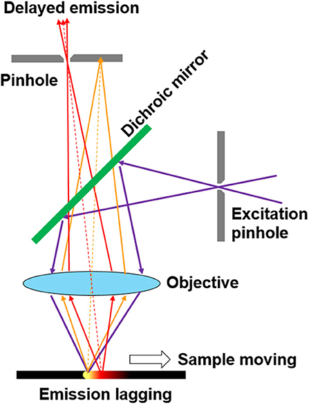 Frontiers | Auto-Phase-Locked Time-Resolved Luminescence Detection ...