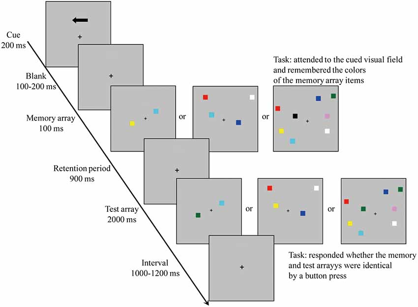 Frontiers | Action Real-Time Strategy Gaming Experience Related to ...