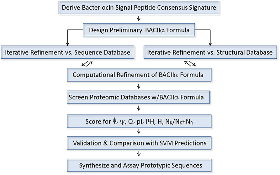 Frontiers | Discovery of Novel Type II Bacteriocins Using a New High ...