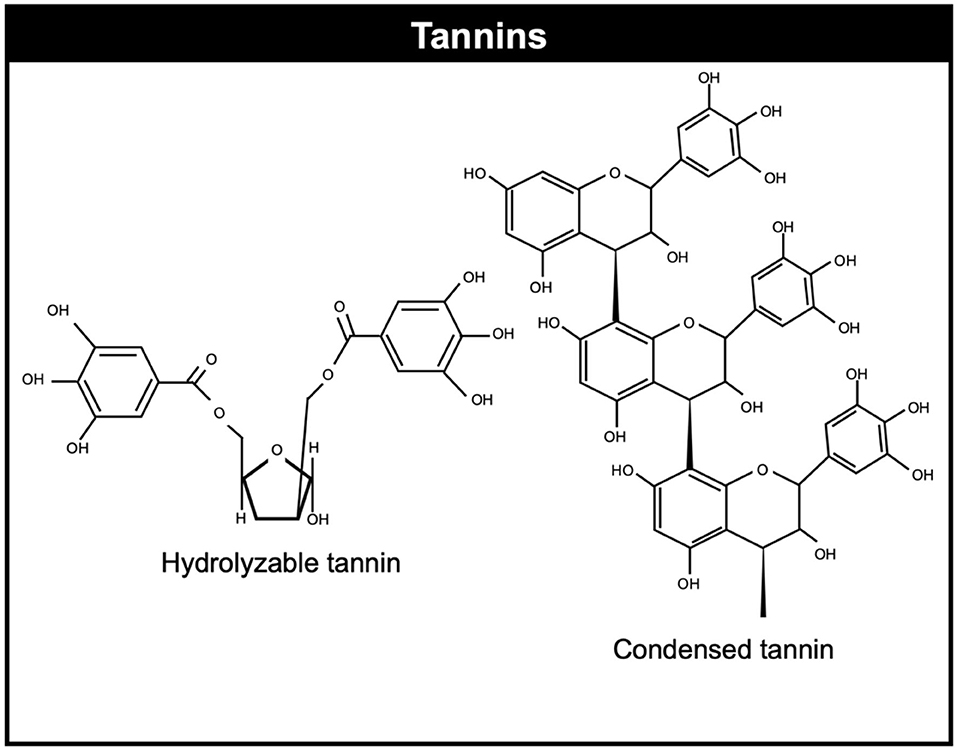 Frontiers | Role of Secondary Plant Metabolites on Enteric Methane ...