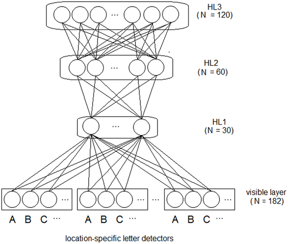 Frontiers | Deep generative learning of location-invariant visual word ...