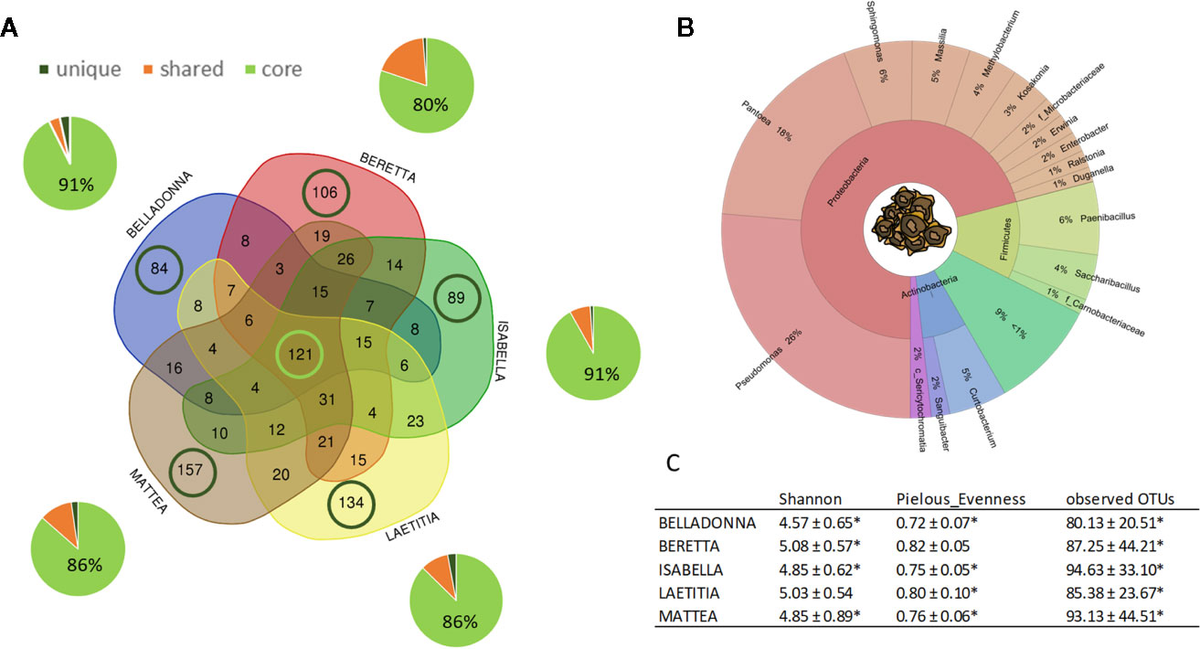 Frontiers | Understanding the Impact of Cultivar, Seed Origin, and ...