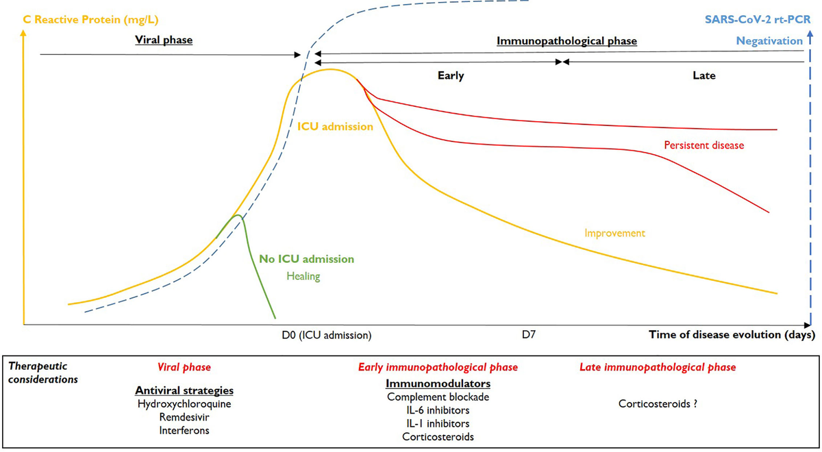 Frontiers | Evolution Toward Severe Covid-19 From Biological Monitoring ...