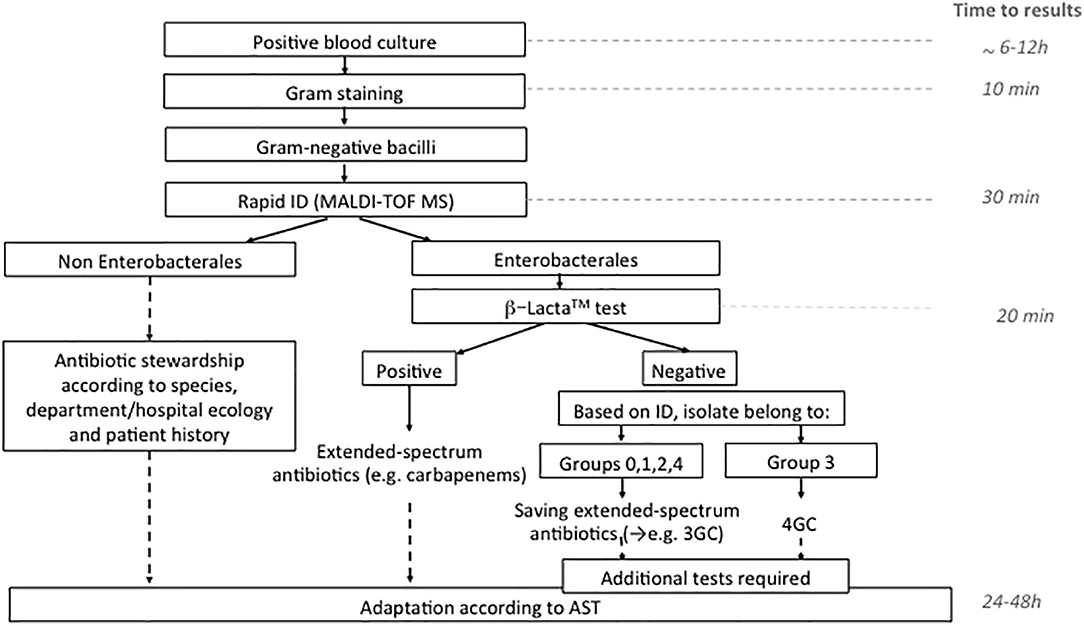 Frontiers | Evaluation of Two Methods for the Detection of Third ...