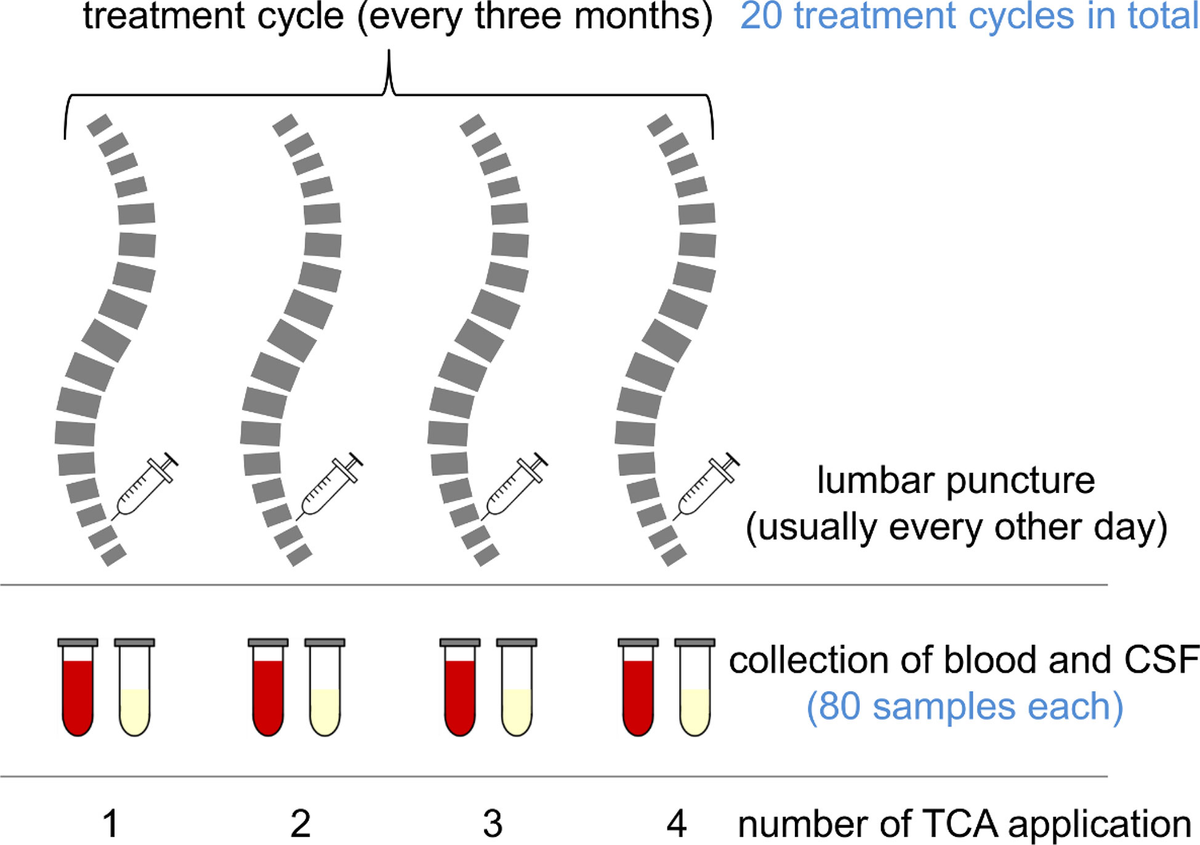 Frontiers | Reduced Fragmentation of IGFBP-2 and IGFBP-3 as a Potential ...