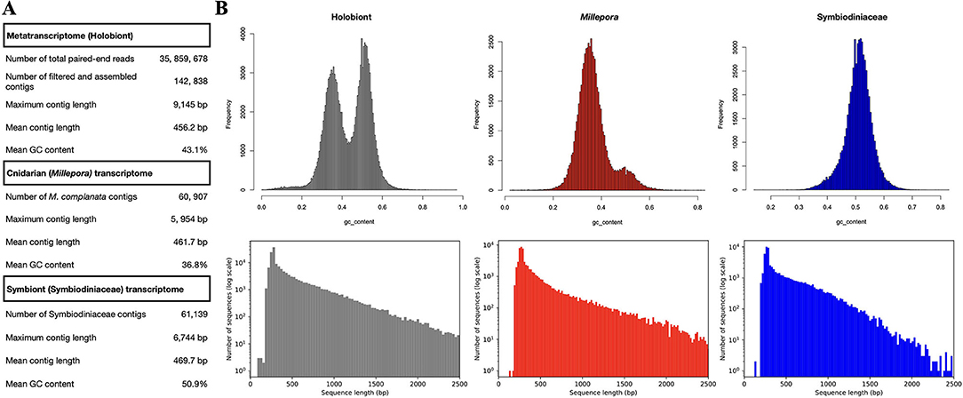 Frontiers | Comprehensive Metatranscriptome Analysis of the Reef ...