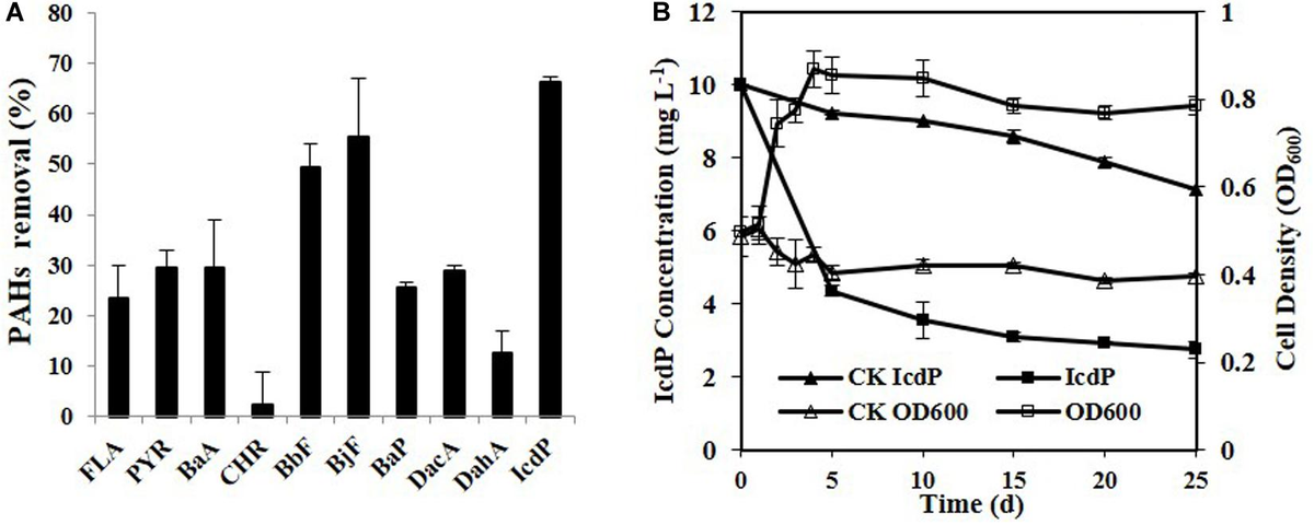 Frontiers | Hydroxylation at Multiple Positions Initiated the ...