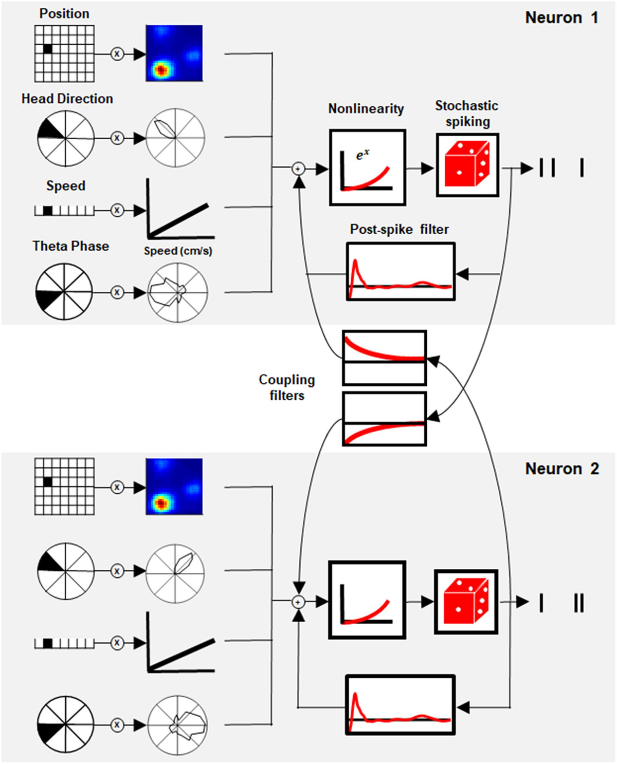 Frontiers | A Generalized Linear Model of a Navigation Network
