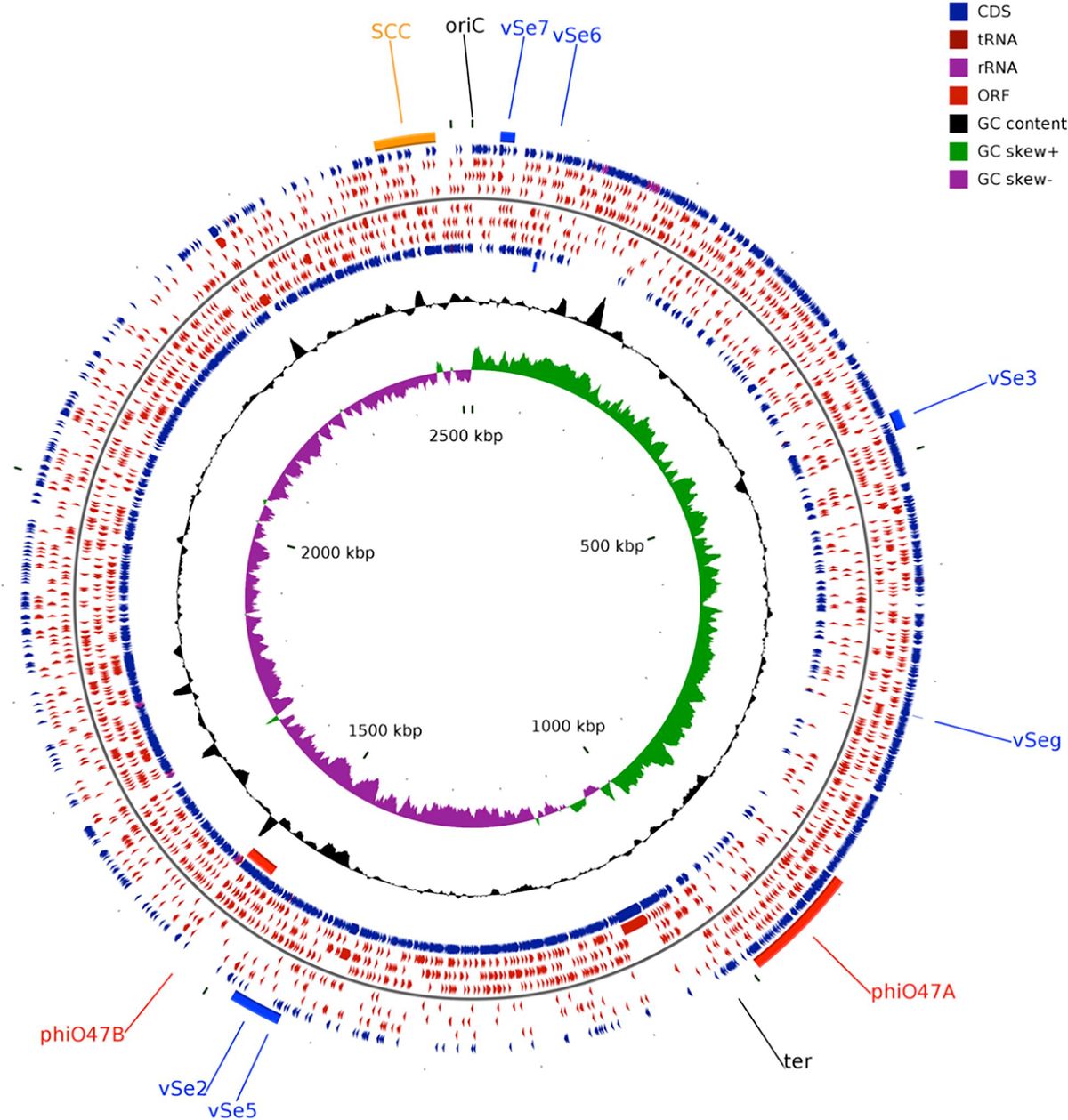 Frontiers | The Genome of Staphylococcus epidermidis O47