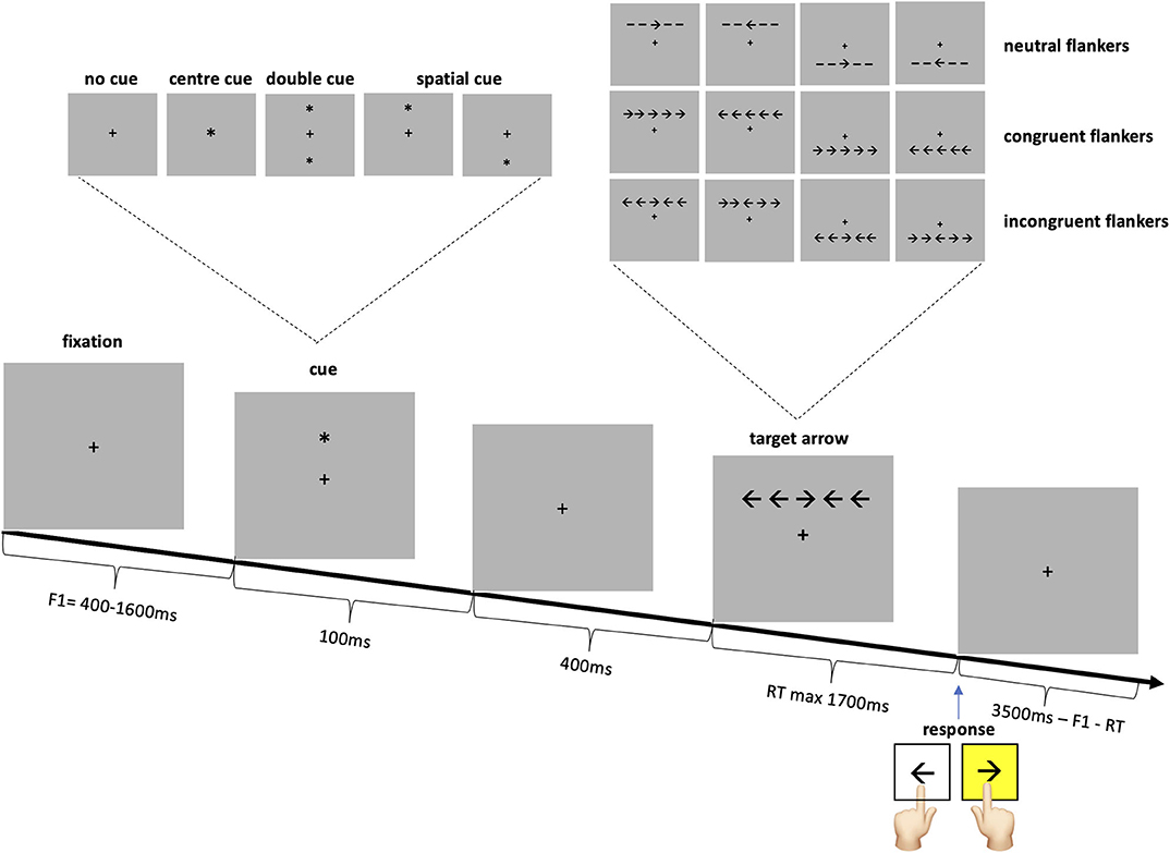 Frontiers | The Flip Side of Distractibility—Executive Dysfunction in ...