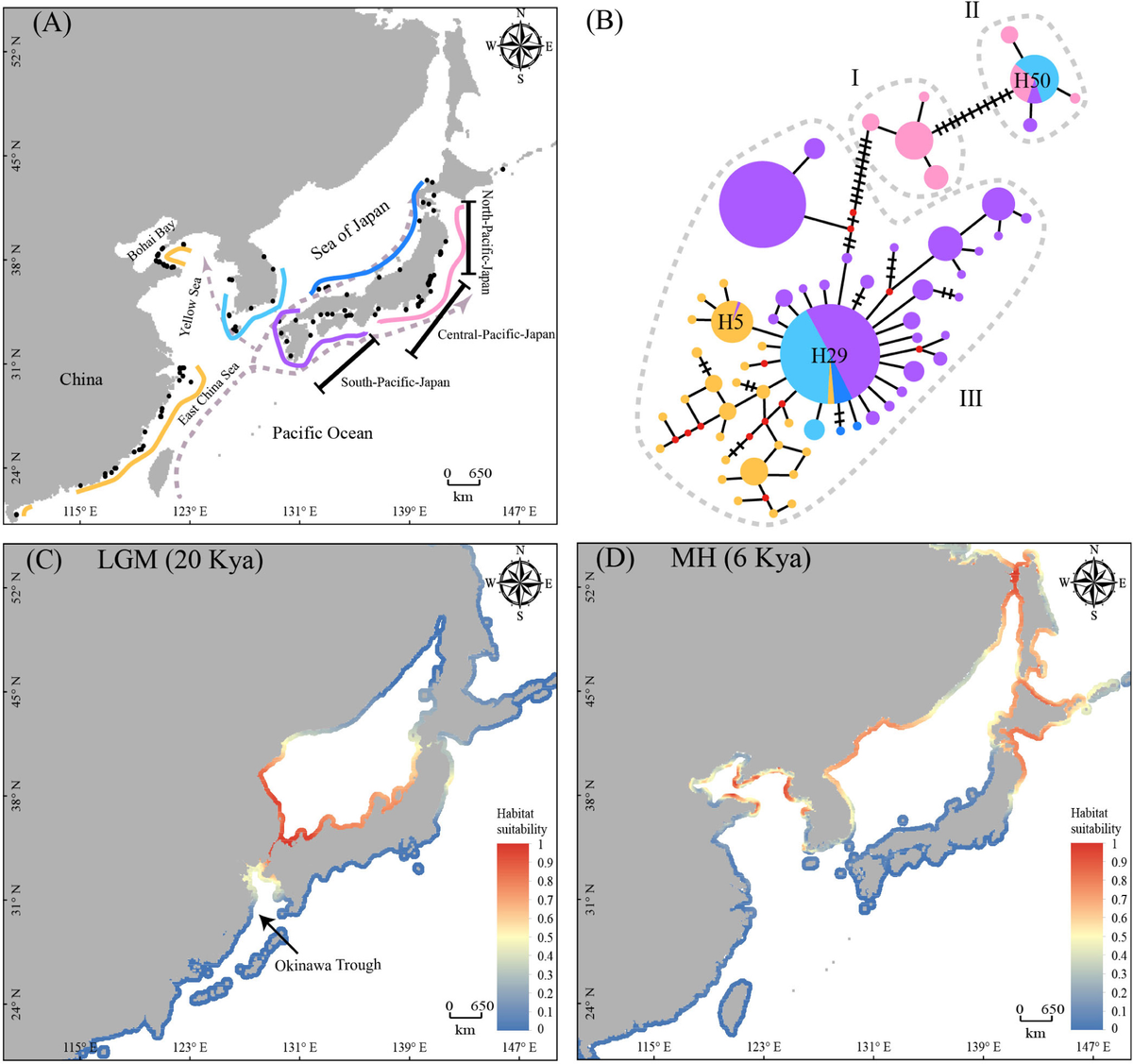 Frontiers | Climate-Driven Range Shifts of Brown Seaweed Sargassum ...