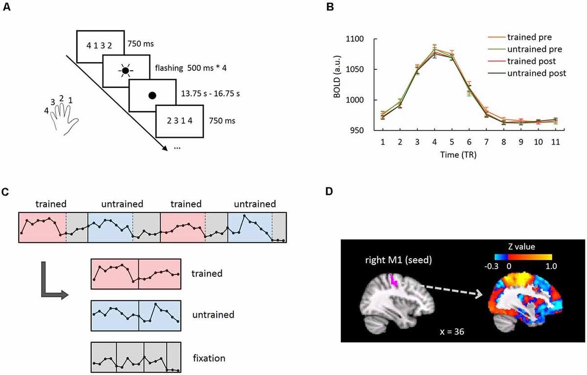 Frontiers | Motor Learning Improves the Stability of Large-Scale Brain ...