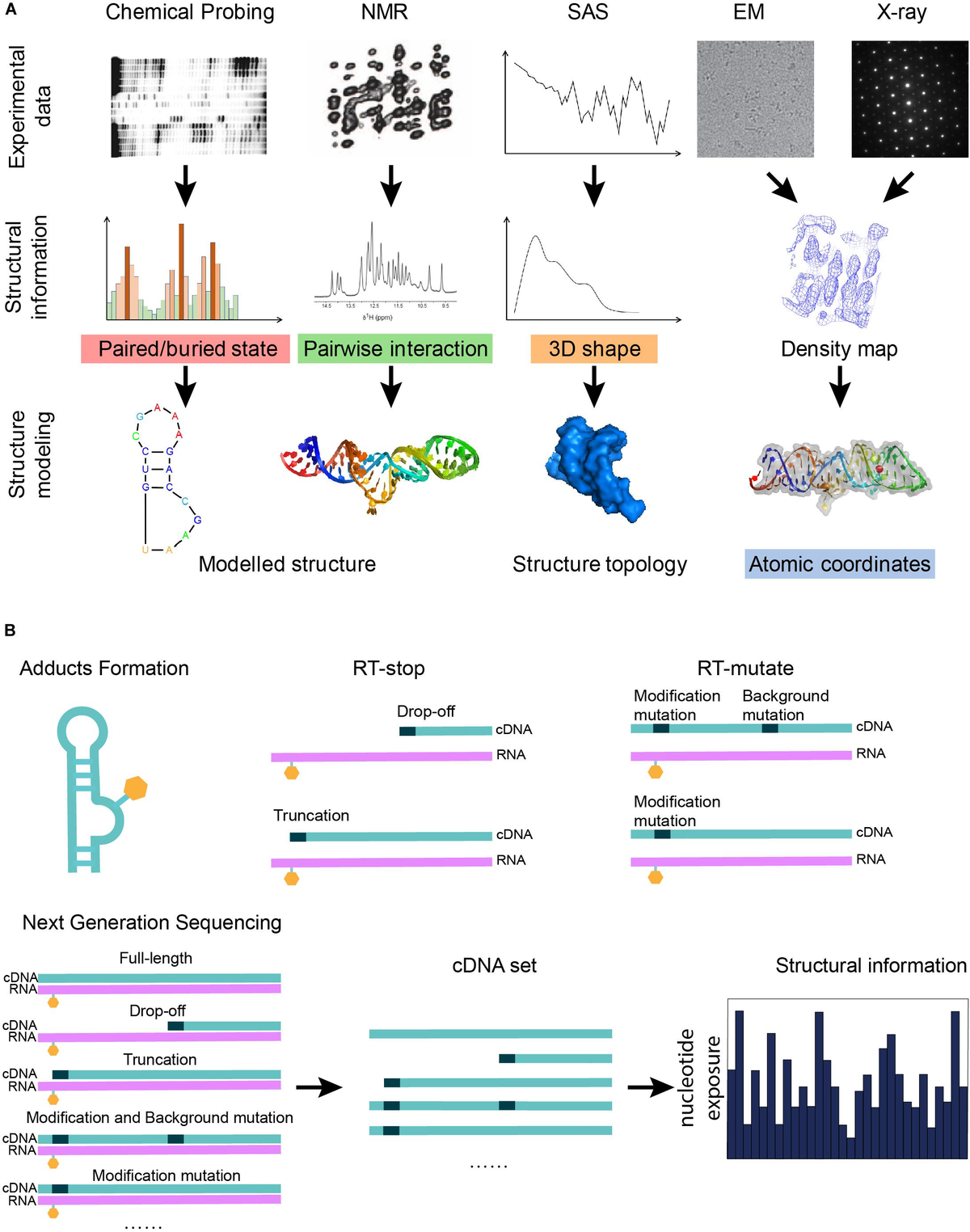 Frontiers | Advances in RNA 3D Structure Modeling Using Experimental Data