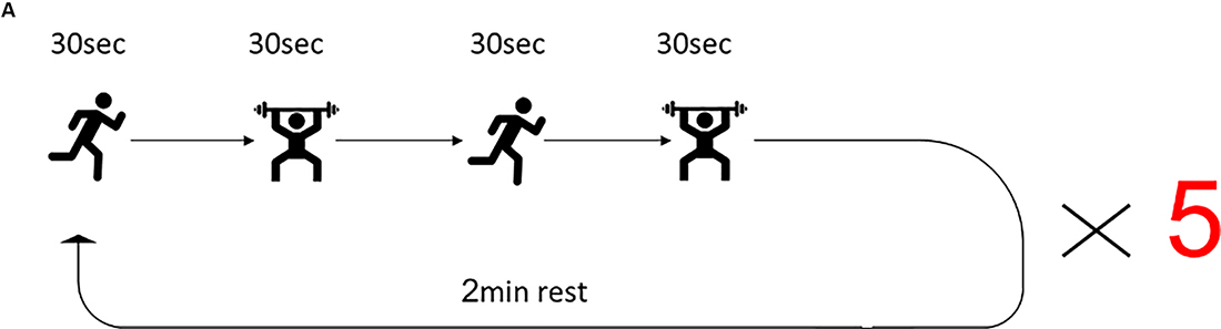 Frontiers | The Effects of High-intensity Functional Training (HIFT) on ...