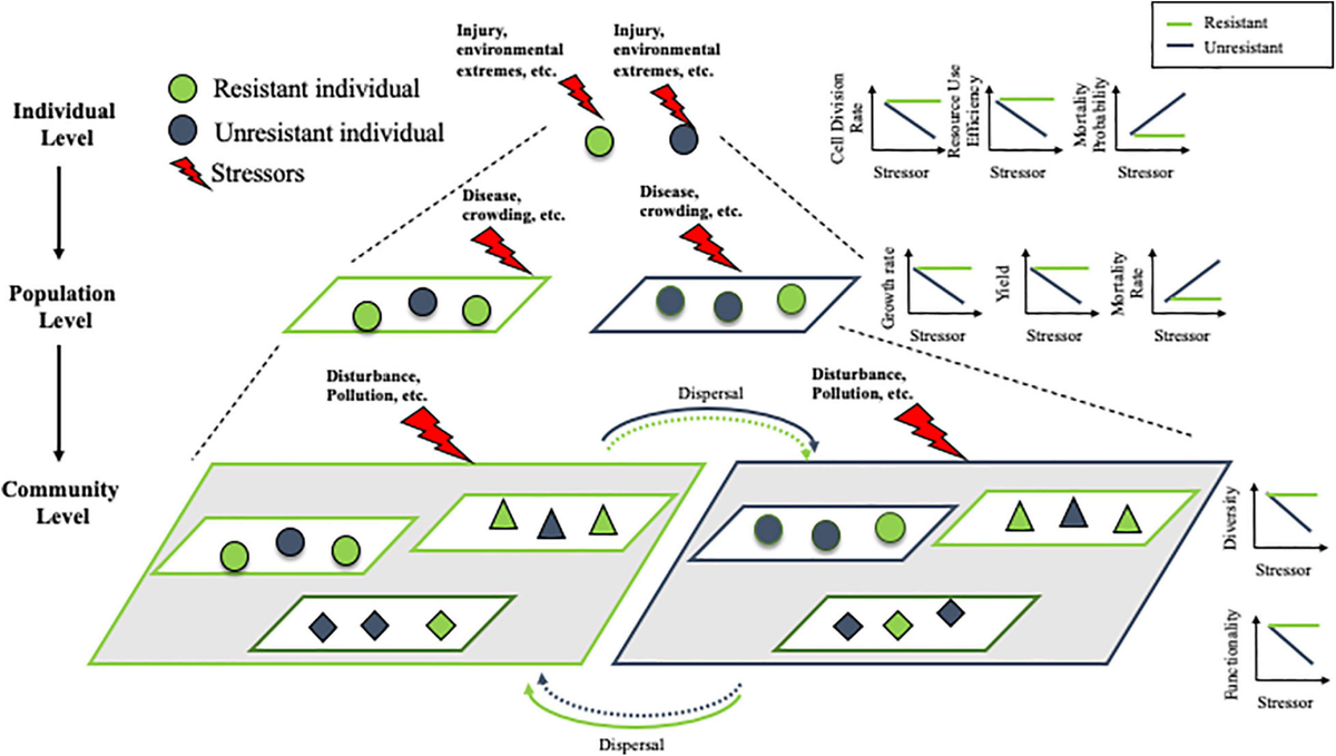 Frontiers | Toward a Universal Theoretical Framework to Understand ...