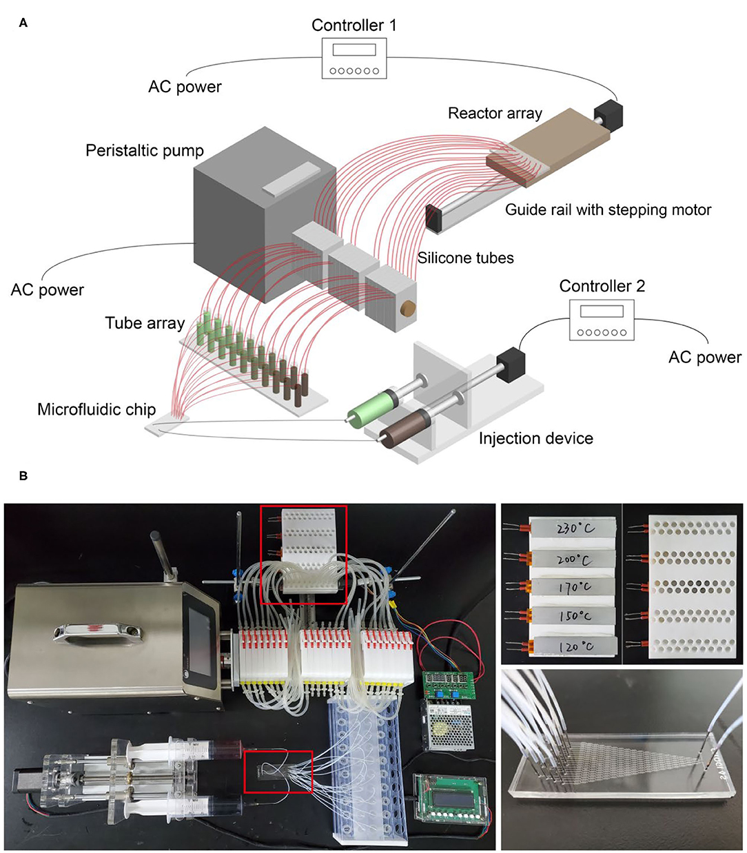 Frontiers | Facile High Throughput Wet-Chemical Synthesis Approach Using a Microfluidic-Based ...