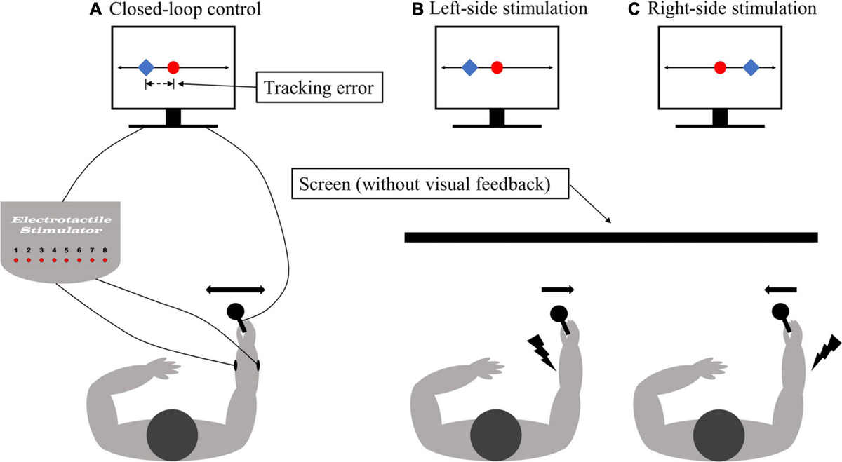 Frontiers | Online Closed-Loop Control Using Tactile Feedback Delivered ...