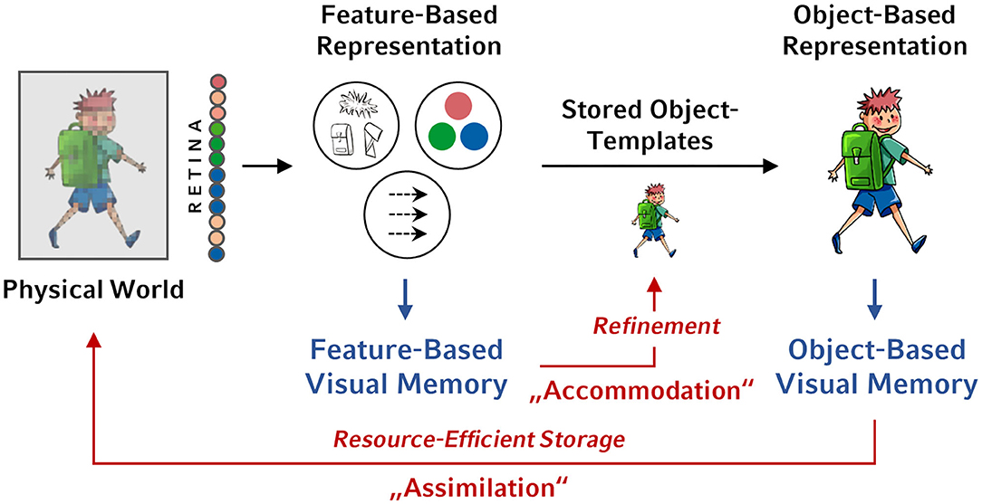Frontiers | Real-World Objects Are Represented in Visual Long-Term ...