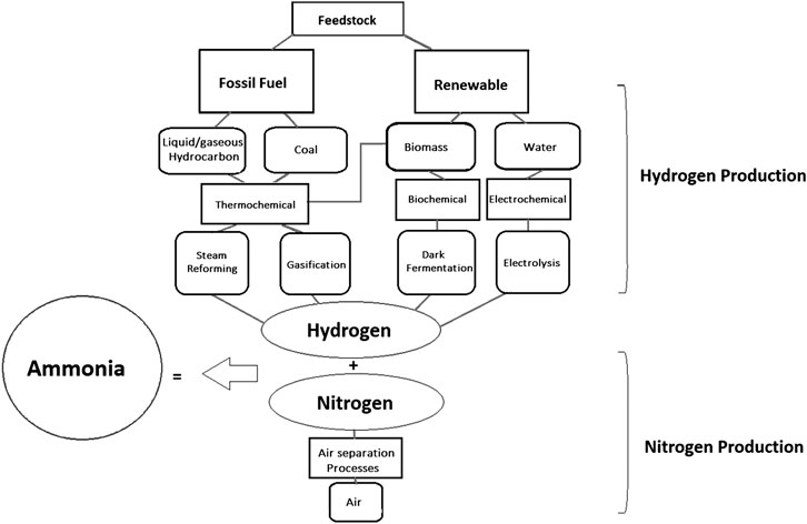 Frontiers | Sustainable Ammonia Production Processes