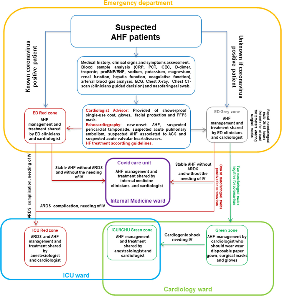 Frontiers | In-hospital Routes of Acute Heart Failure Admissions During ...