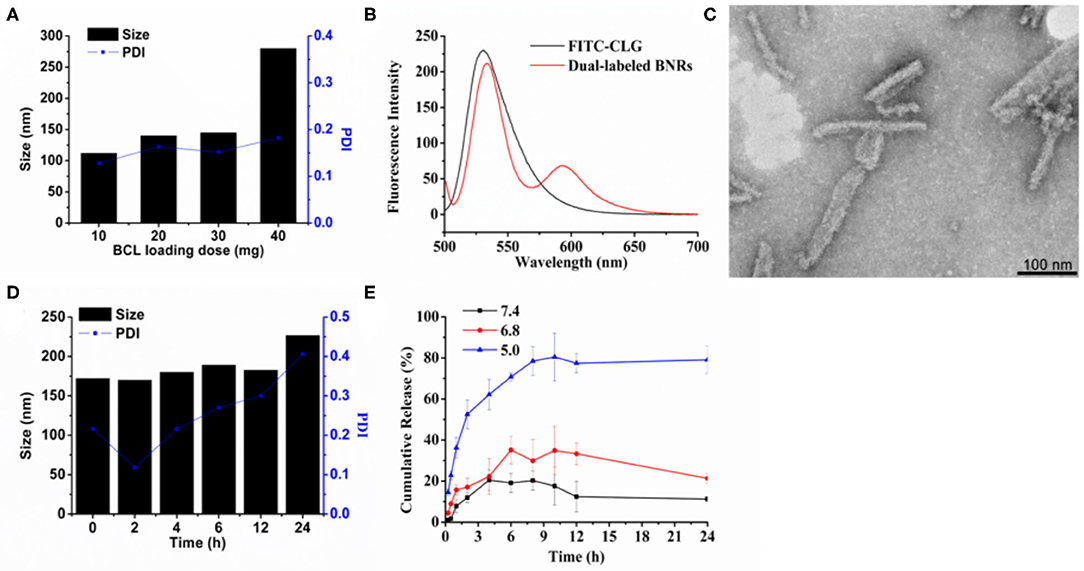 Frontiers | Deliver Anti-inflammatory Drug Baicalein to Macrophages by ...