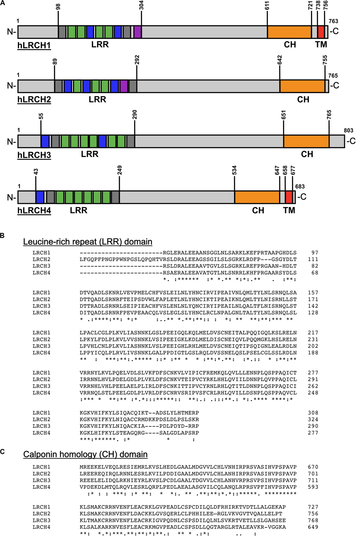 Frontiers | Structure and Emerging Functions of LRCH Proteins in ...