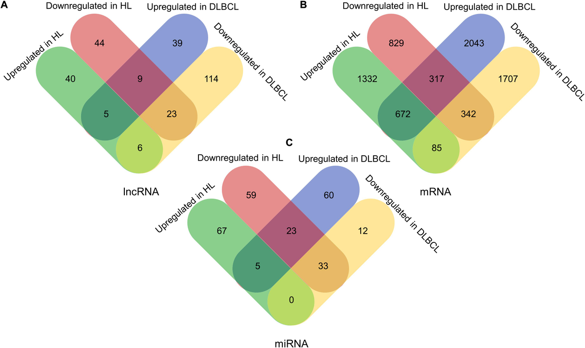 Frontiers | Systematic Analysis of Competing Endogenous RNA Networks in Diffuse Large B-Cell ...