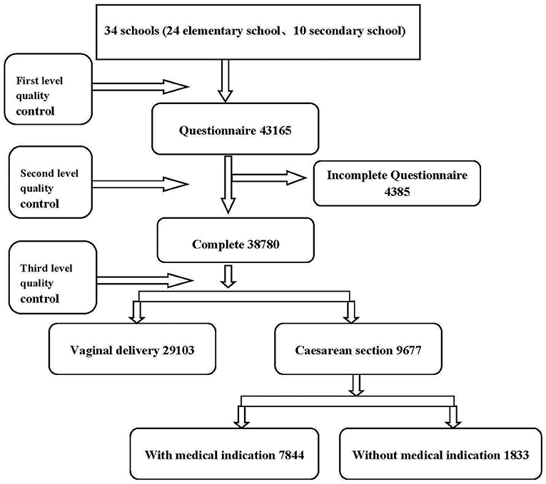 Frontiers | Cesarean Section Due to Social Factors Affects Children's ...