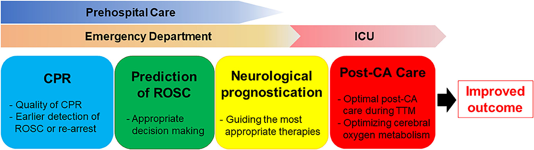 Frontiers | Near-Infrared Spectroscopy Assessments of Regional Cerebral ...