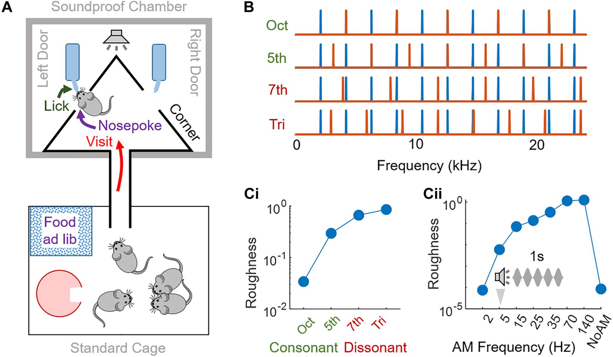 Frontiers | Spontaneous Mouse Behavior in Presence of Dissonance and ...