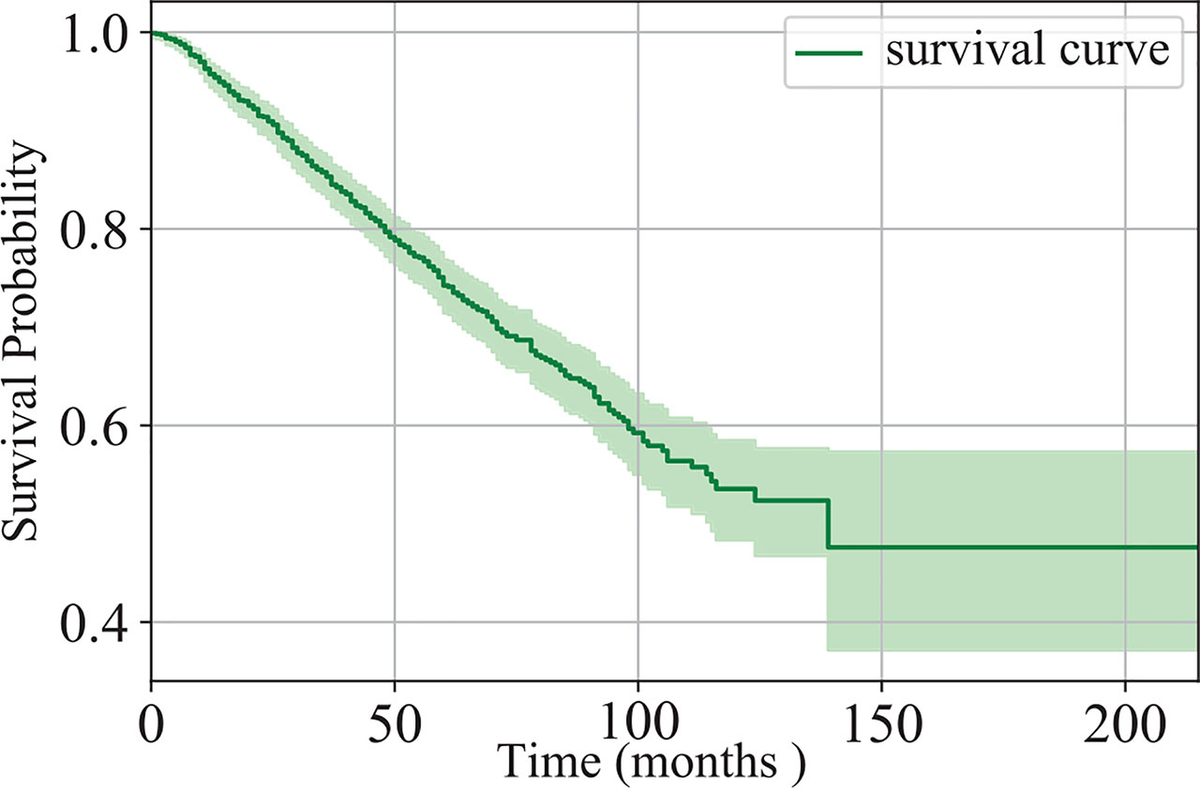 Frontiers | SurvNet: A Novel Deep Neural Network for Lung Cancer ...