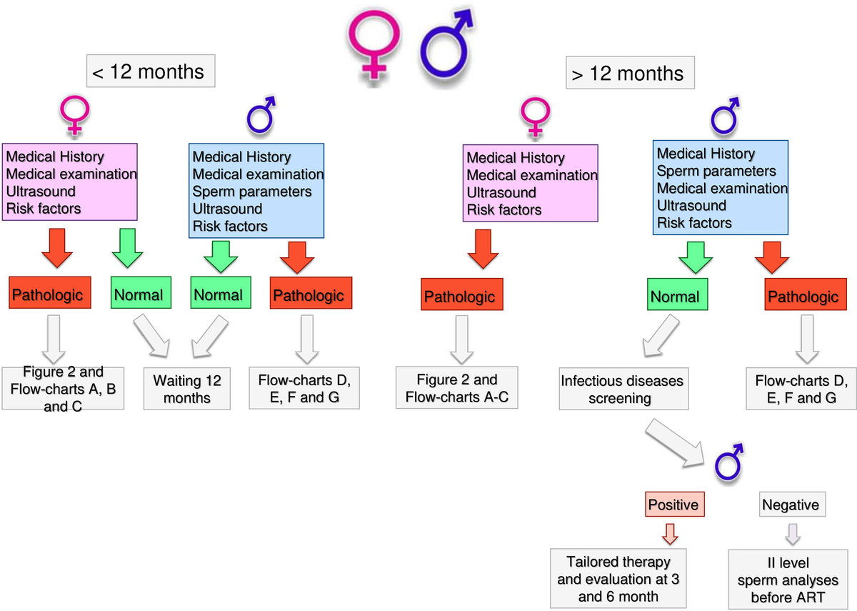 Frontiers | Practical Clinical and Diagnostic Pathway for the ...