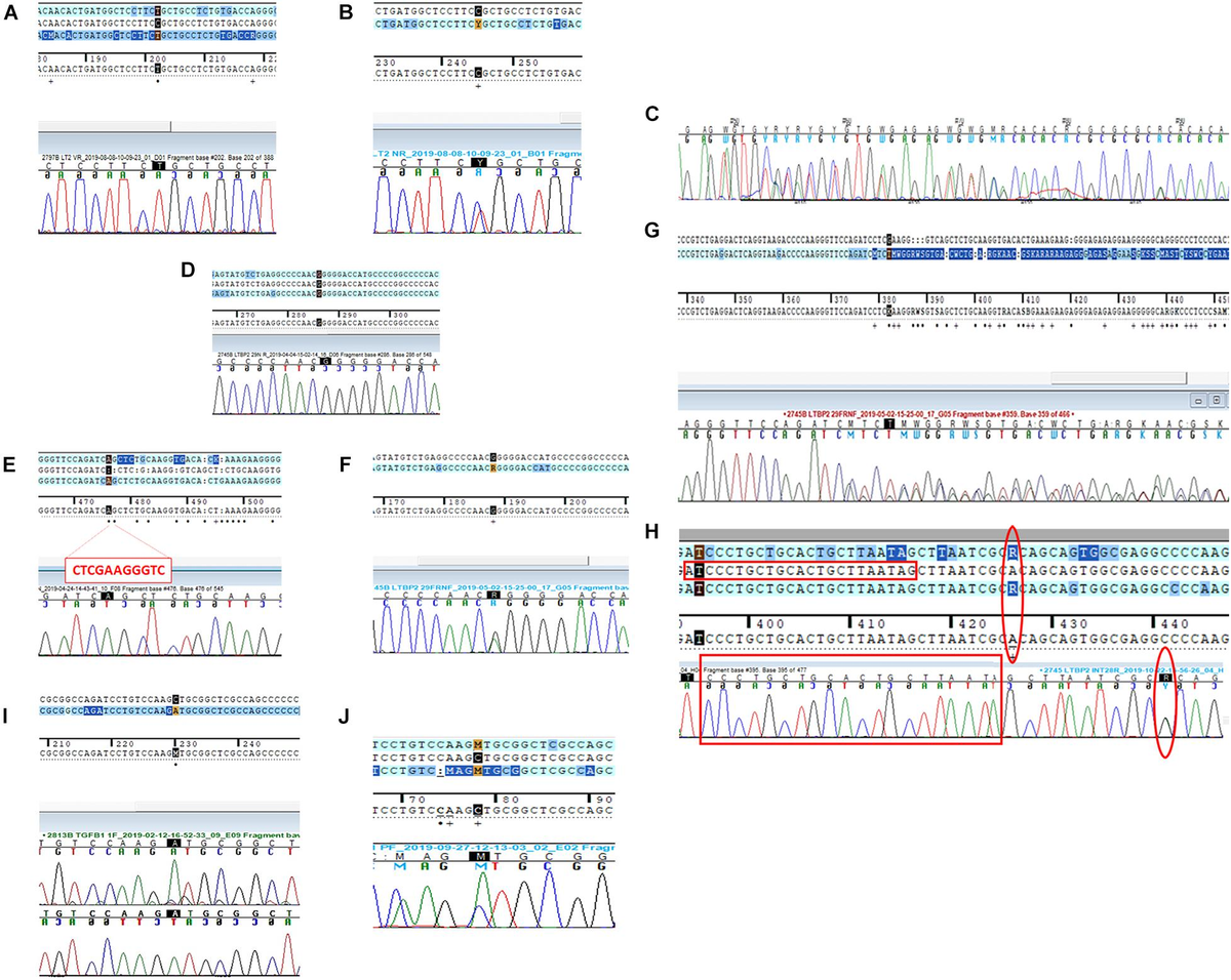 Frontiers | Sanger Validation of High-Throughput Sequencing in Genetic ...
