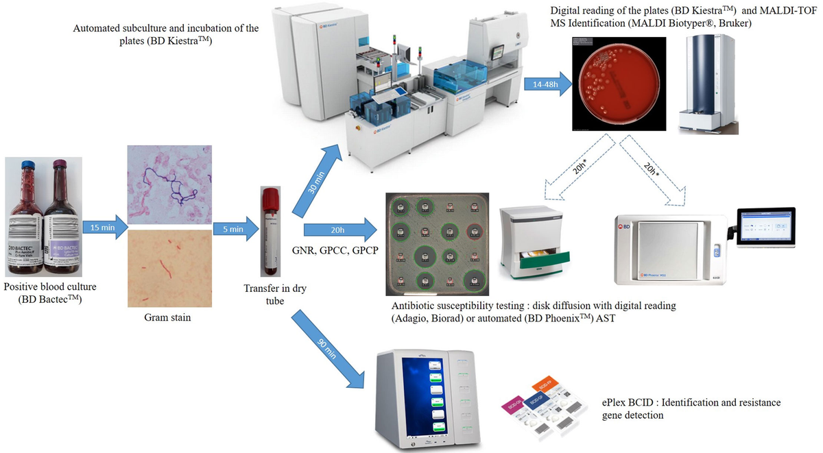 Frontiers | Evaluation of Microbiological Performance and the Potential ...