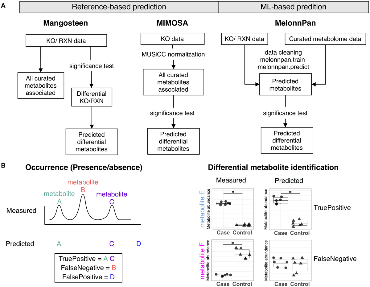 Frontiers | A Comparative Evaluation of Tools to Predict Metabolite ...