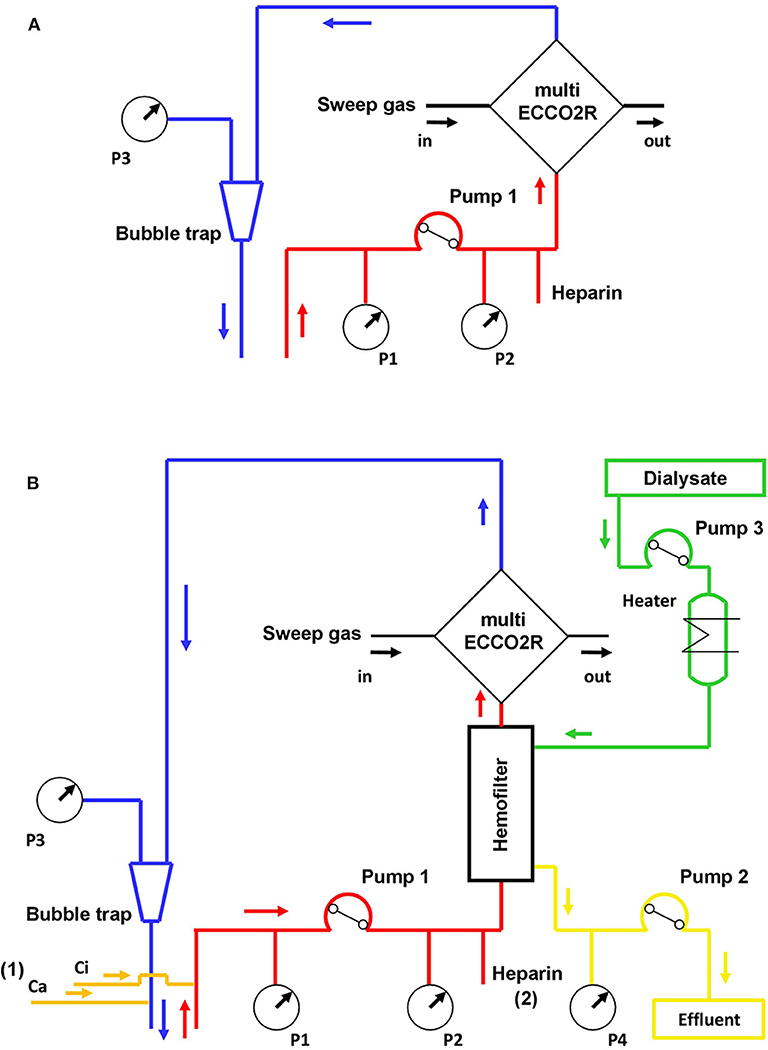 Frontiers | Extracorporeal Carbon Dioxide Removal Using a Renal ...