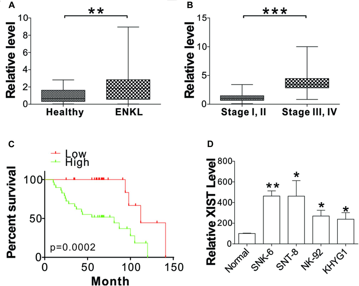 Frontiers | Long Non-coding RNA X-Inactive Specific Transcript Mediates ...