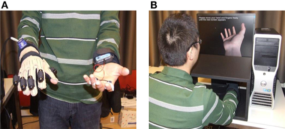Frontiers | The virtual-hand illusion: effects of impact and threat on ...
