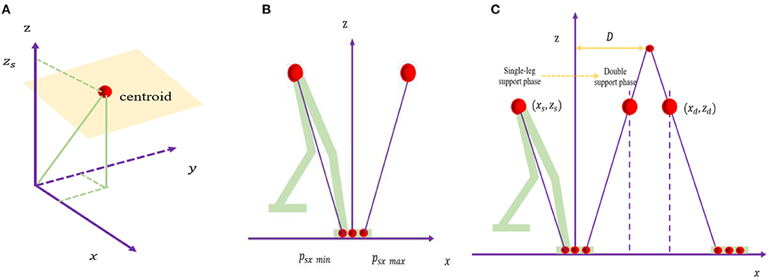 Frontiers | Gait Optimization Method for Humanoid Robots Based on Parallel Comprehensive ...