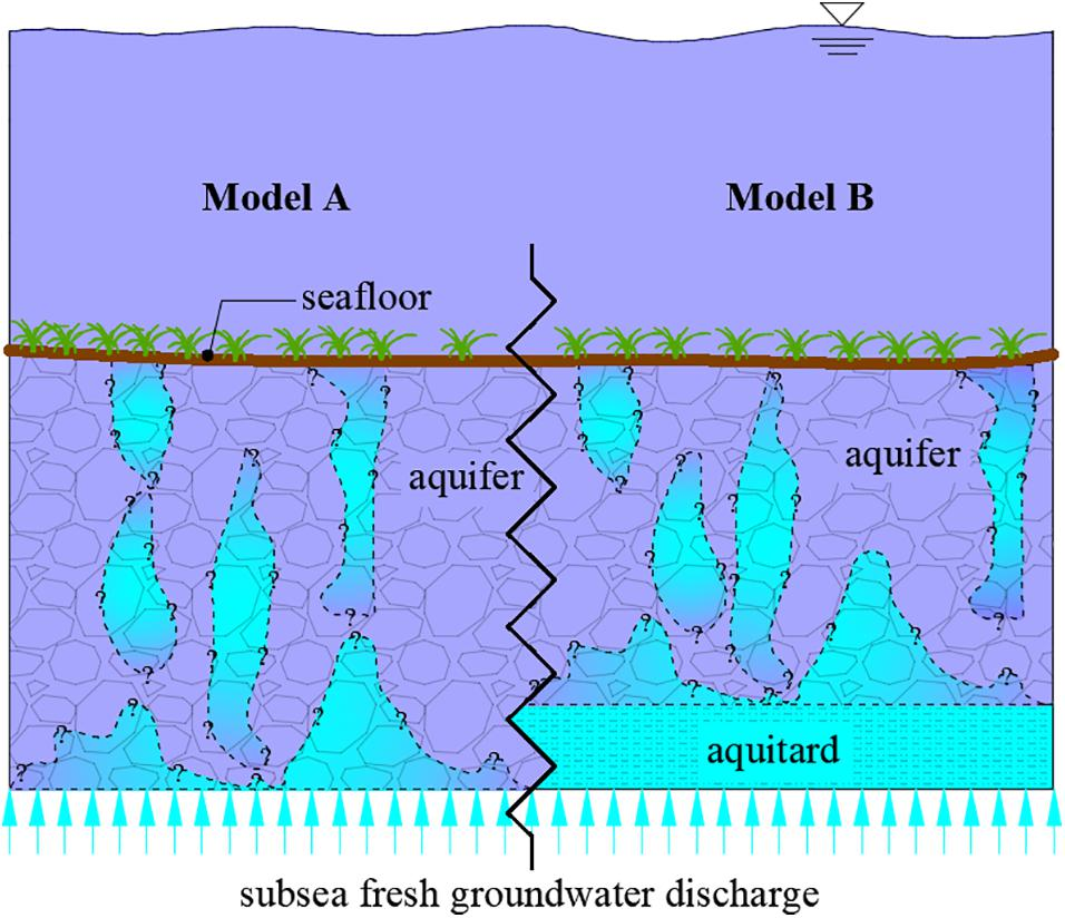 Frontiers | Mixed-Convective Processes Within Seafloor Sediments ...