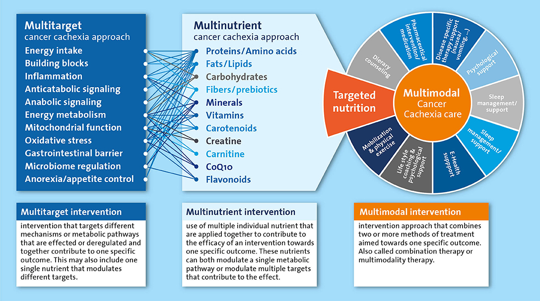 Frontiers | Nutritional Interventions in Cancer Cachexia: Evidence and ...