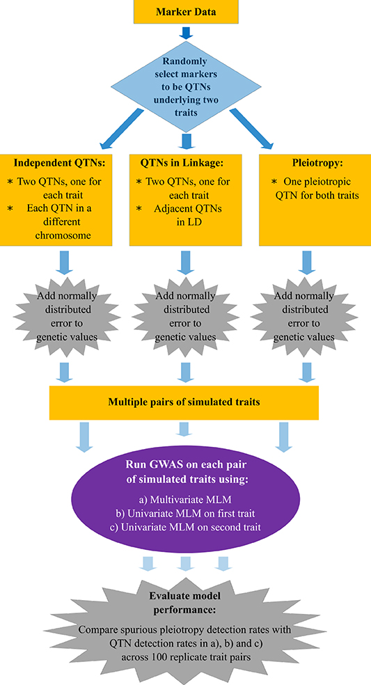 Frontiers | How Well Can Multivariate and Univariate GWAS Distinguish ...